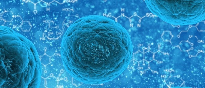 Cell-banner – জার্মান প্রবাসে